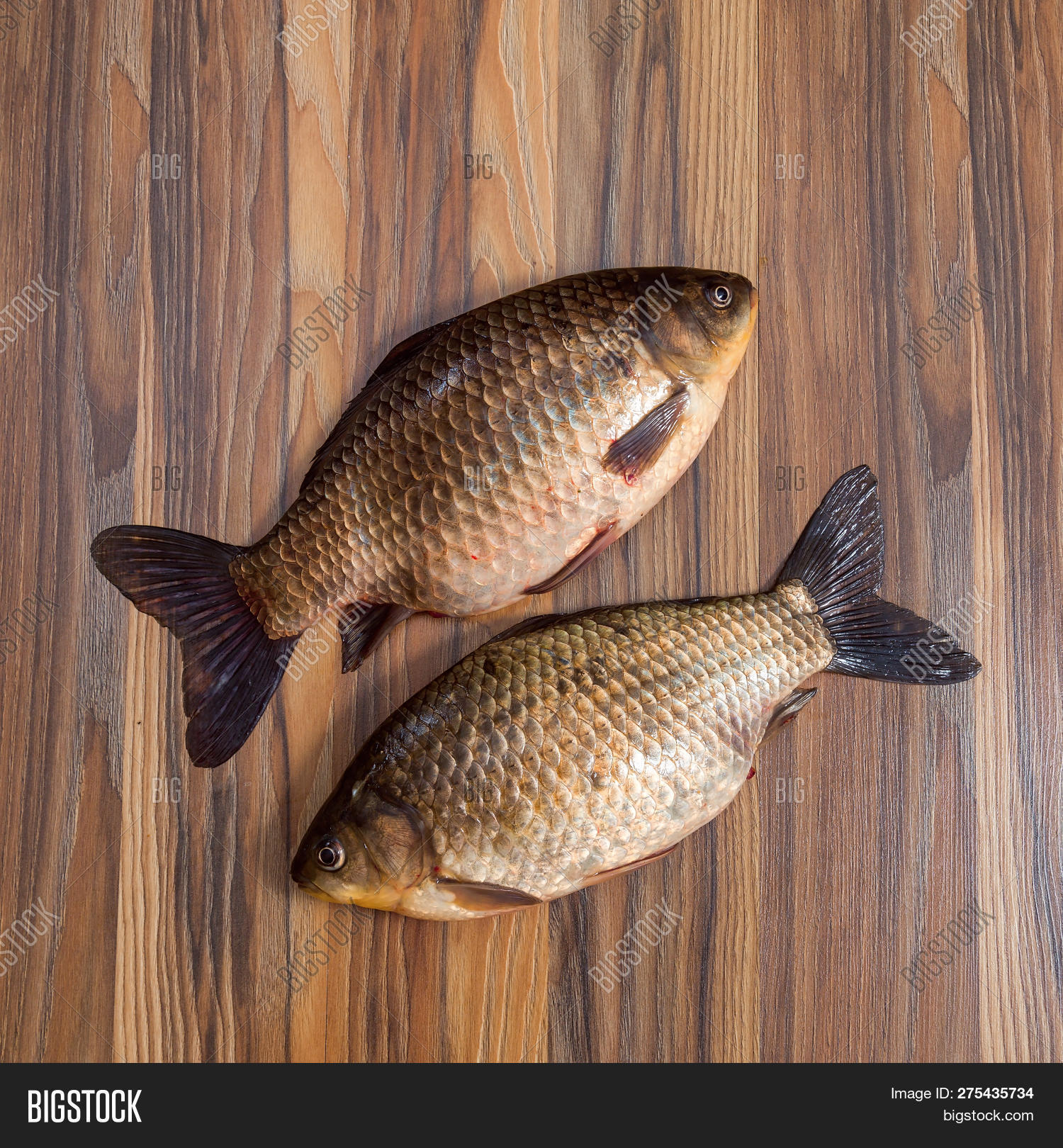 Freshly Caught Fish. Image & Photo (Free Trial) | Bigstock