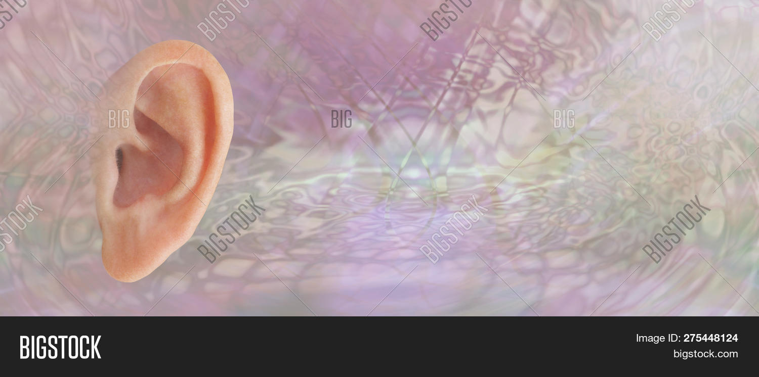 Ear Anatomy Background Image & Photo (Free Trial) | Bigstock