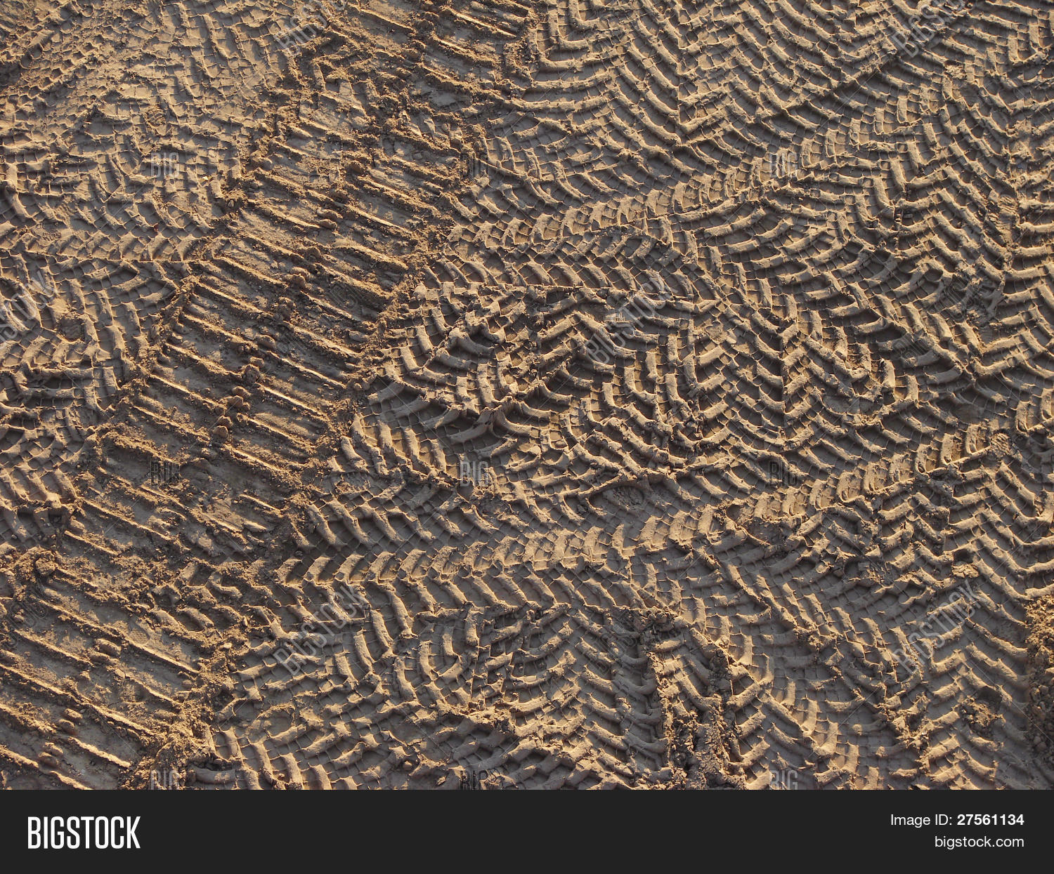 Crisscross Tire Tracks Image & Photo (Free Trial) | Bigstock