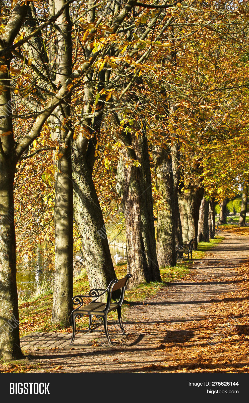 Alley Autumn Denmark Image & Photo (Free Trial) | Bigstock