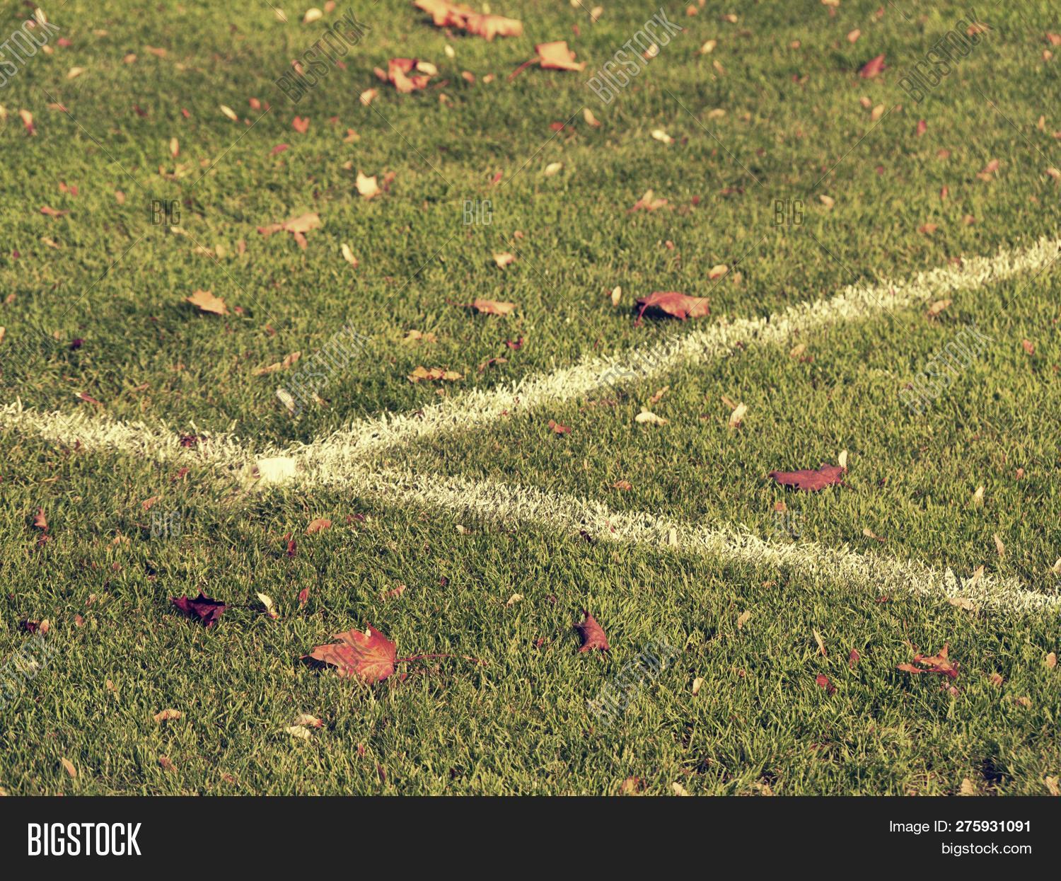 Messy Football Field Image & Photo (Free Trial) | Bigstock