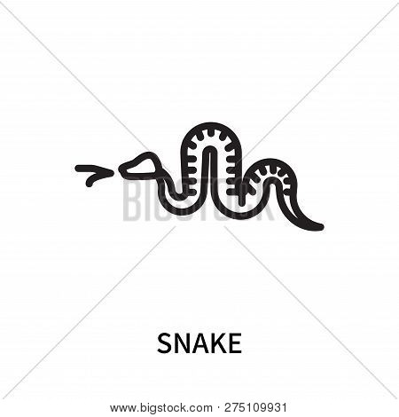 Snake Icon Isolated Vector & Photo (Free Trial) | Bigstock