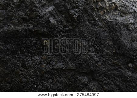 Natural Magnetite Iron Image & Photo (Free Trial) | Bigstock