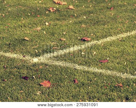 Messy Football Field Image & Photo (Free Trial) | Bigstock