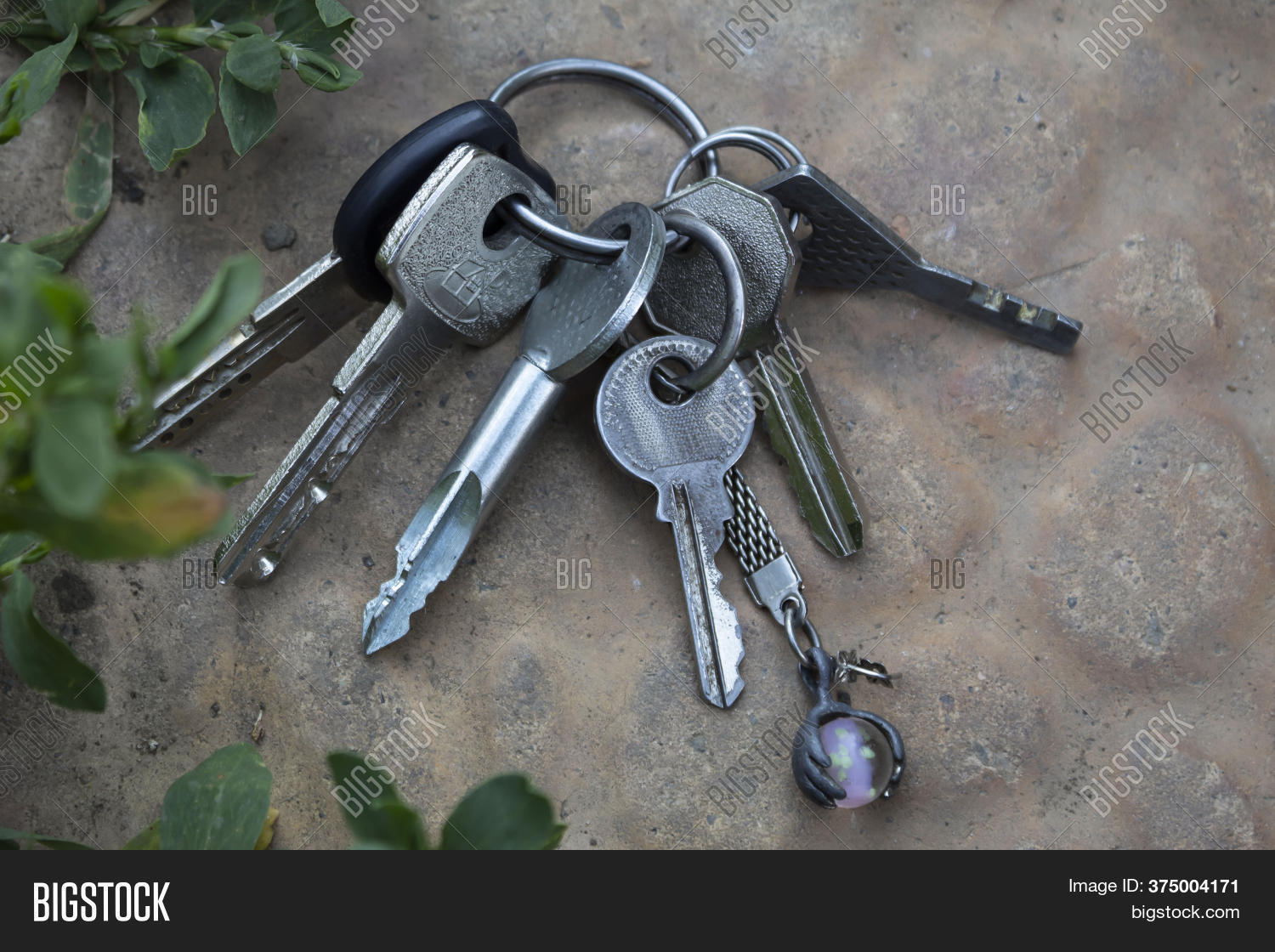 Bunch Lost Keys Image & Photo (Free Trial) | Bigstock