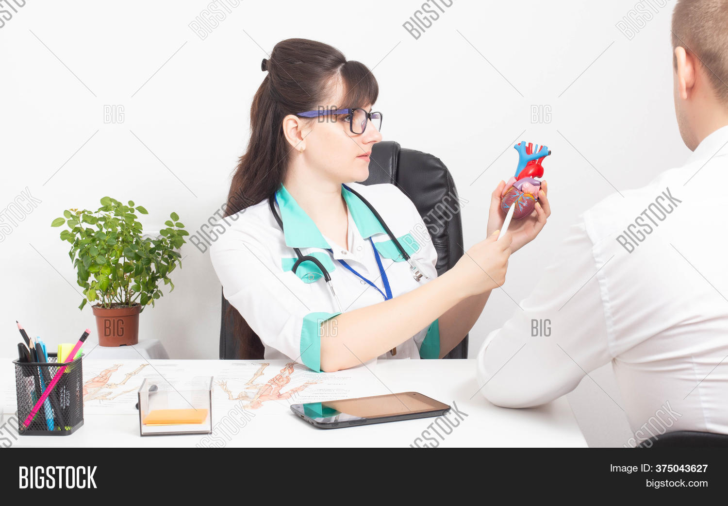 Cardiologist Explains Image & Photo (Free Trial) | Bigstock