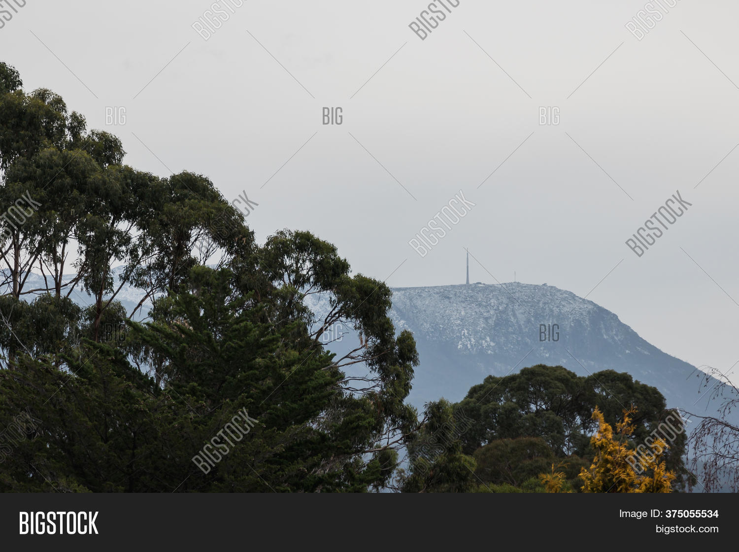 Beautiful Vegetation Image & Photo (Free Trial) | Bigstock