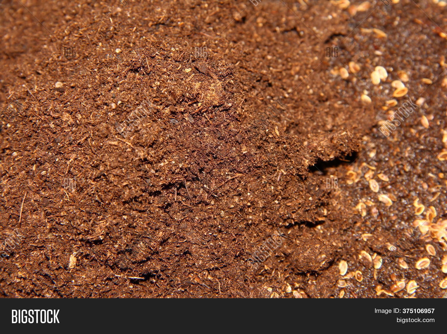 Texture Topsoil. Image & Photo (Free Trial) | Bigstock