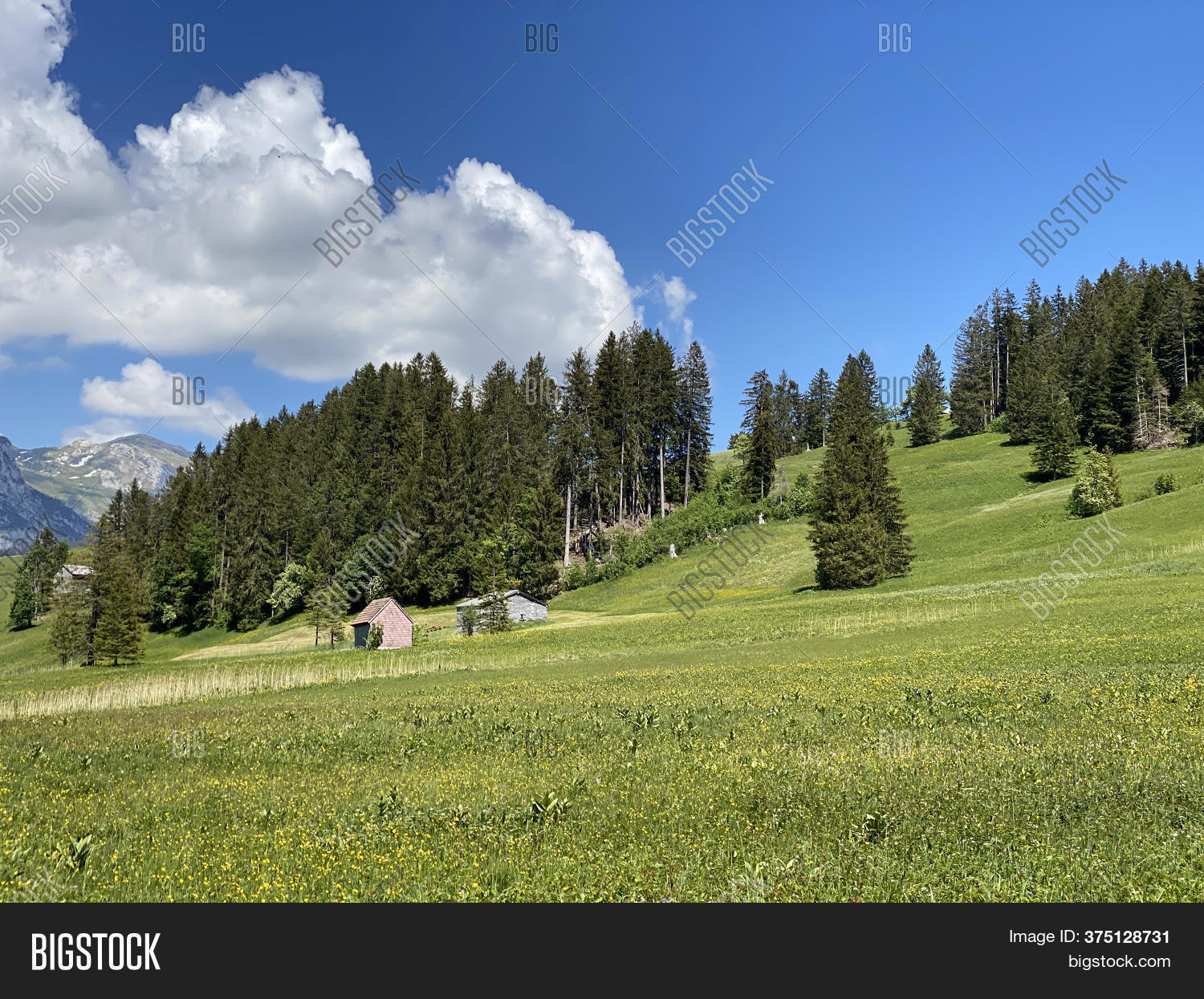 Alpine Pastures Image & Photo (Free Trial) | Bigstock