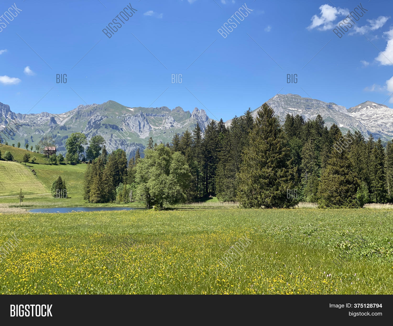Alpine Pastures Image & Photo (Free Trial) | Bigstock