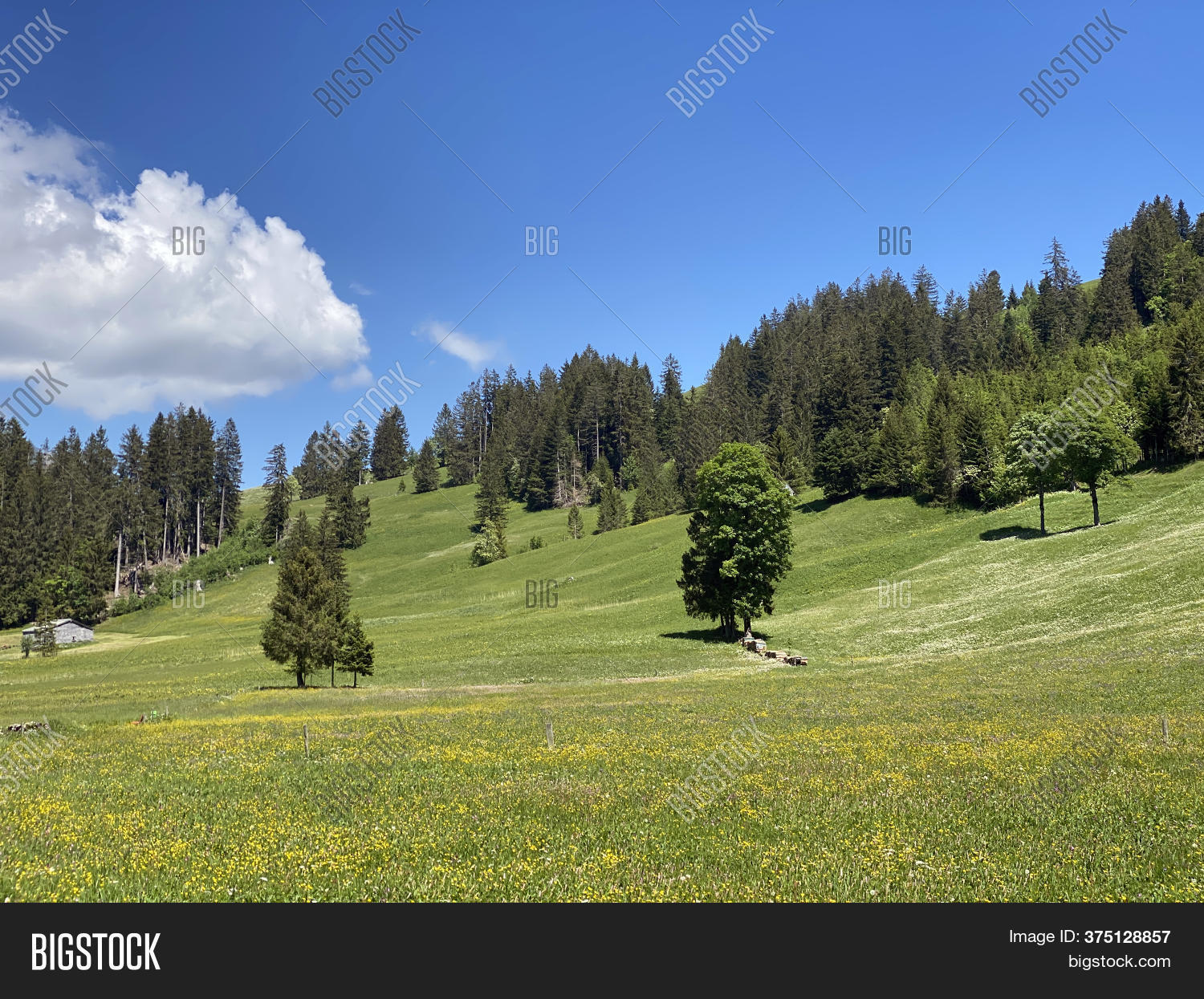 Alpine Pastures Image & Photo (Free Trial) | Bigstock