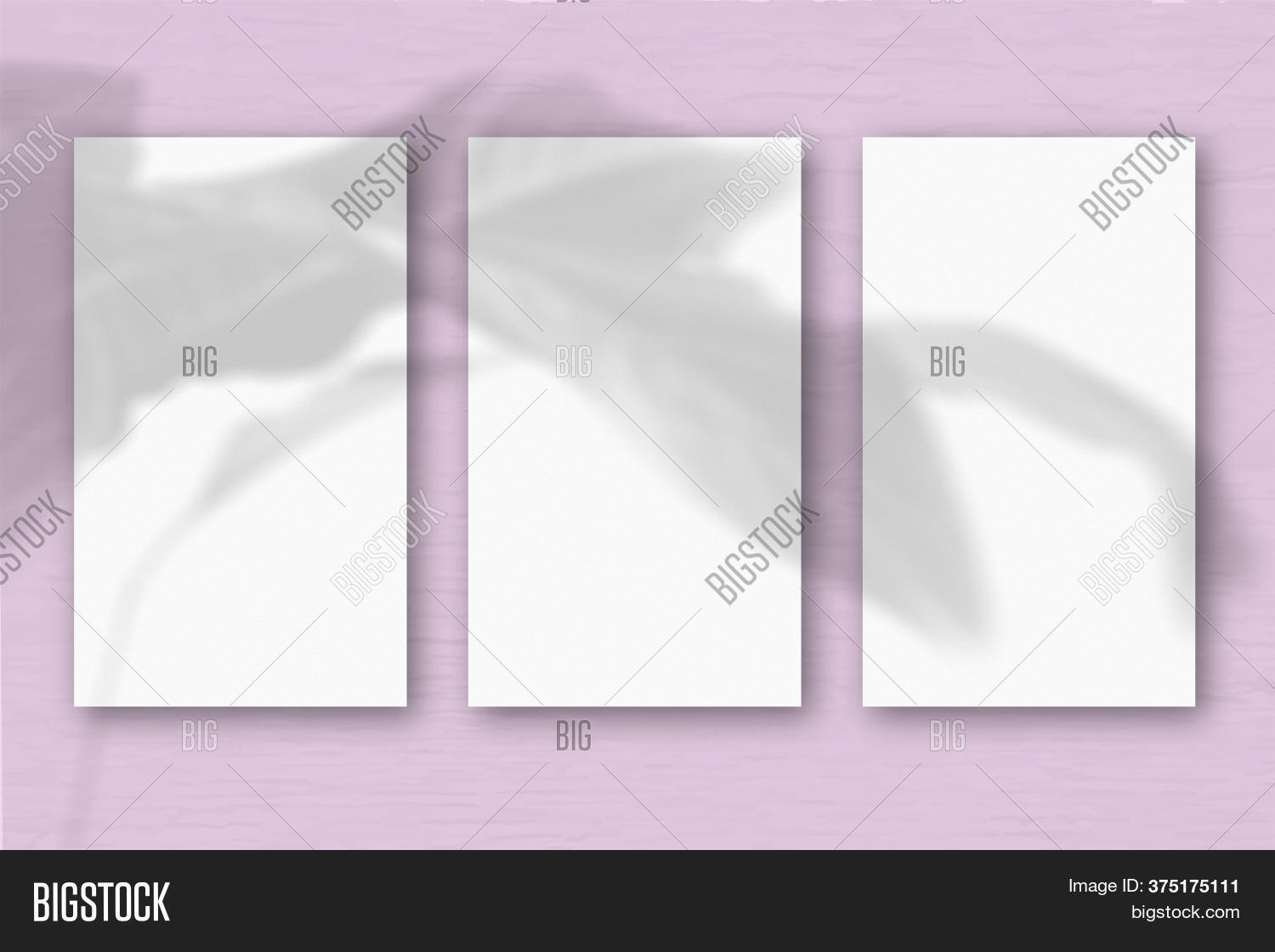 3 Vertical Sheets Image & Photo (Free Trial) | Bigstock