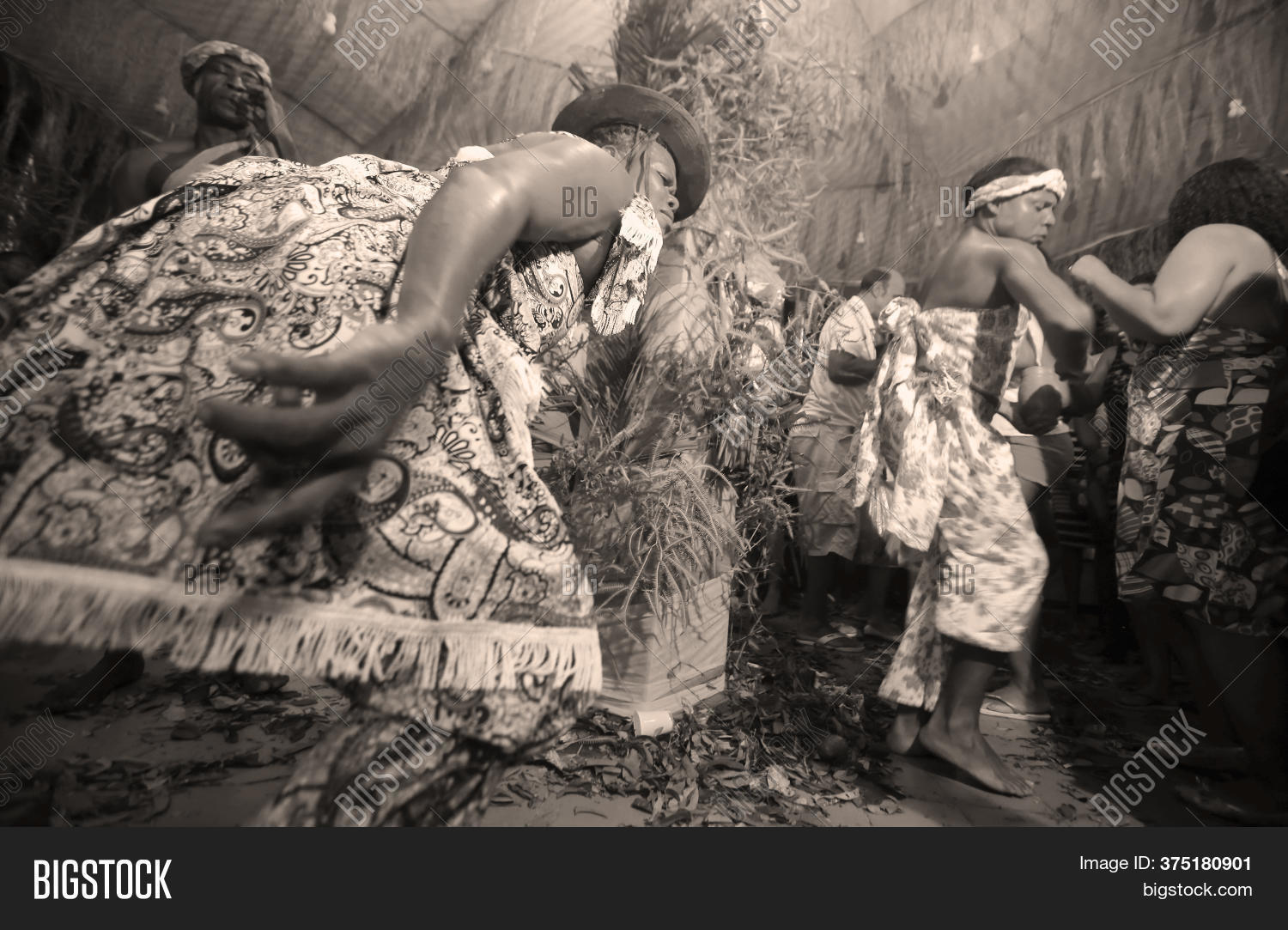 Simoes Filho, Bahia / Image & Photo (Free Trial) | Bigstock