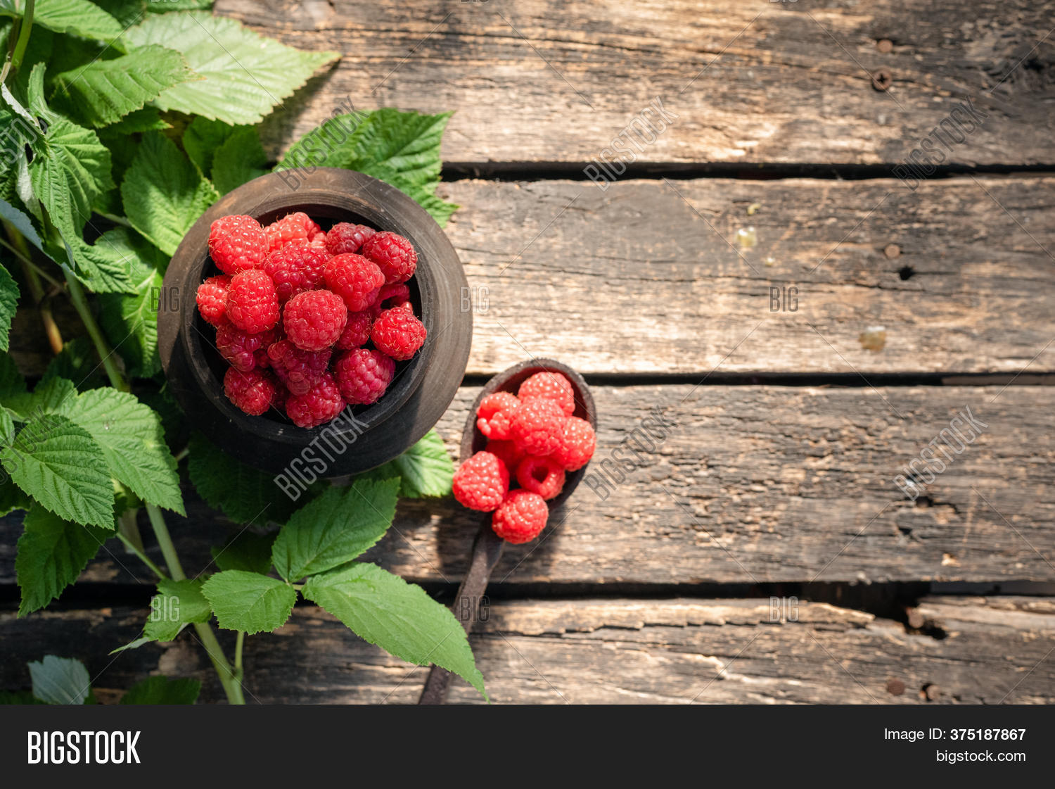 Ripe Raspberry Fruits Image & Photo (Free Trial) | Bigstock