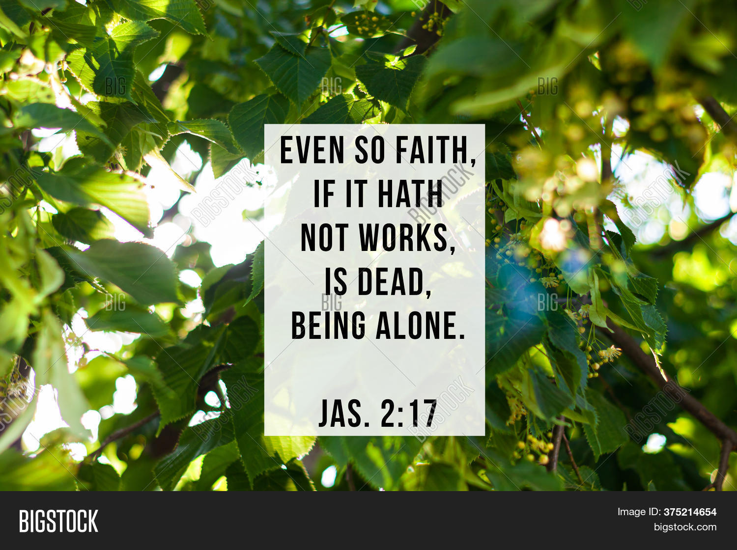 Bible Quotes On Image & Photo (Free Trial) | Bigstock