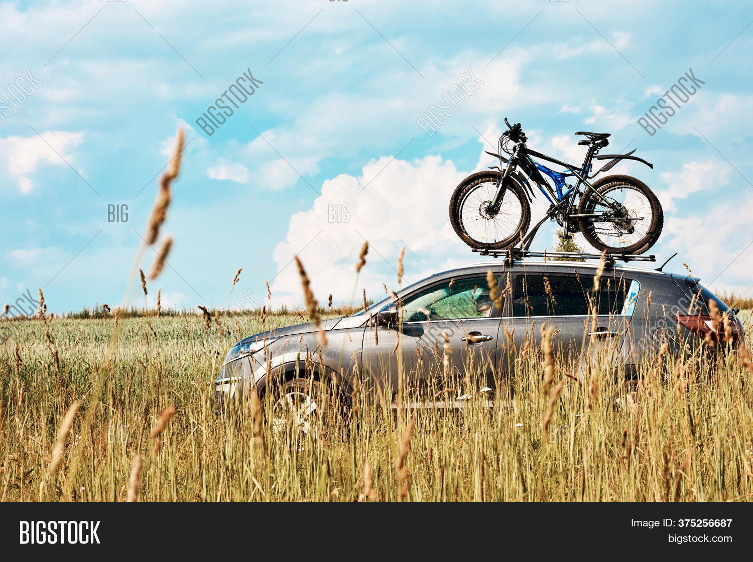 Bicycle Transportation Image & Photo (Free Trial) | Bigstock