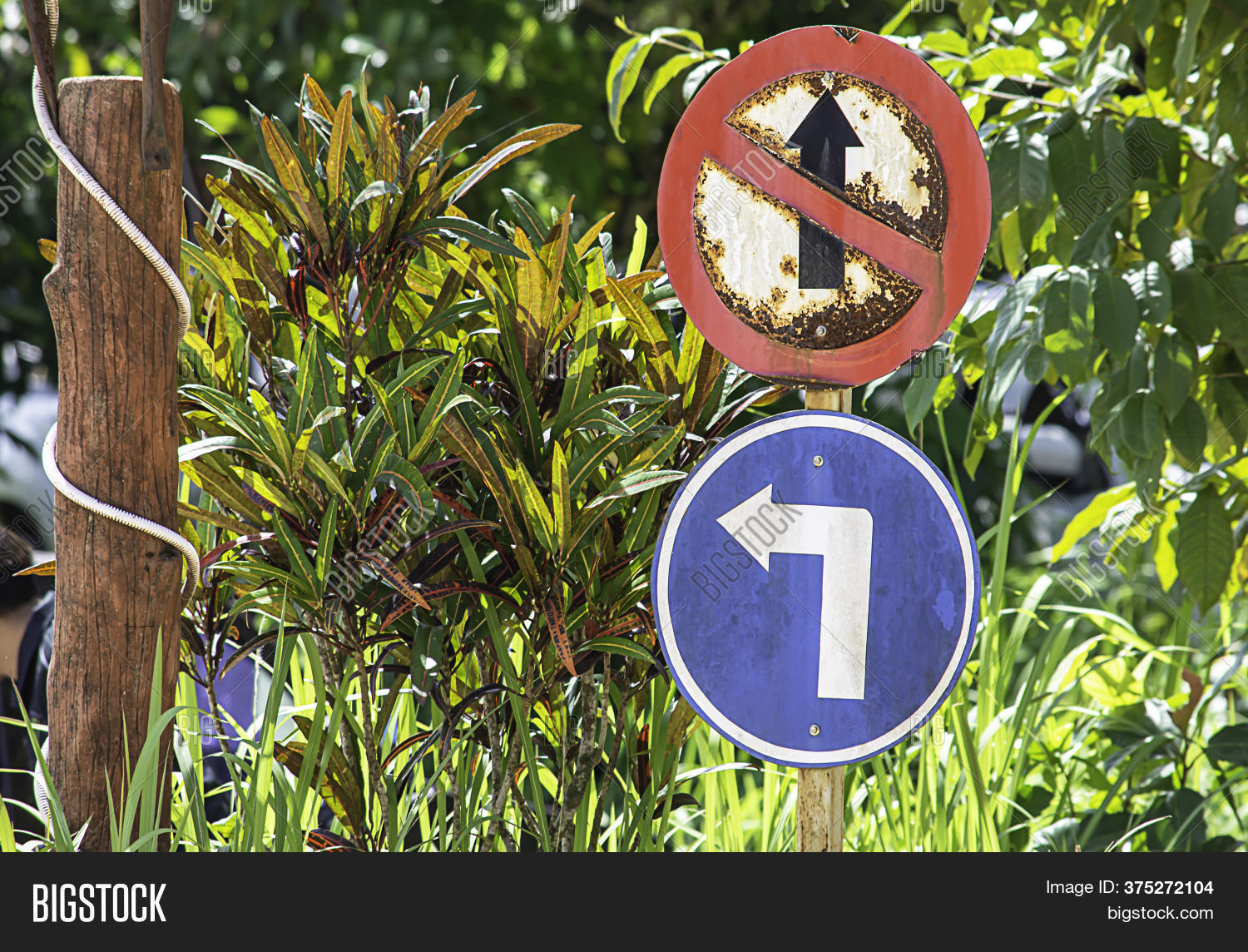 Traffic Sign Circle Image & Photo (Free Trial) | Bigstock