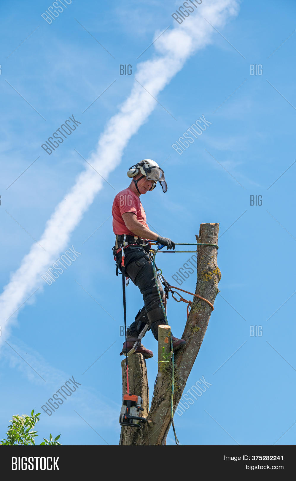 Tree Surgeon Arborist Image & Photo (Free Trial) | Bigstock