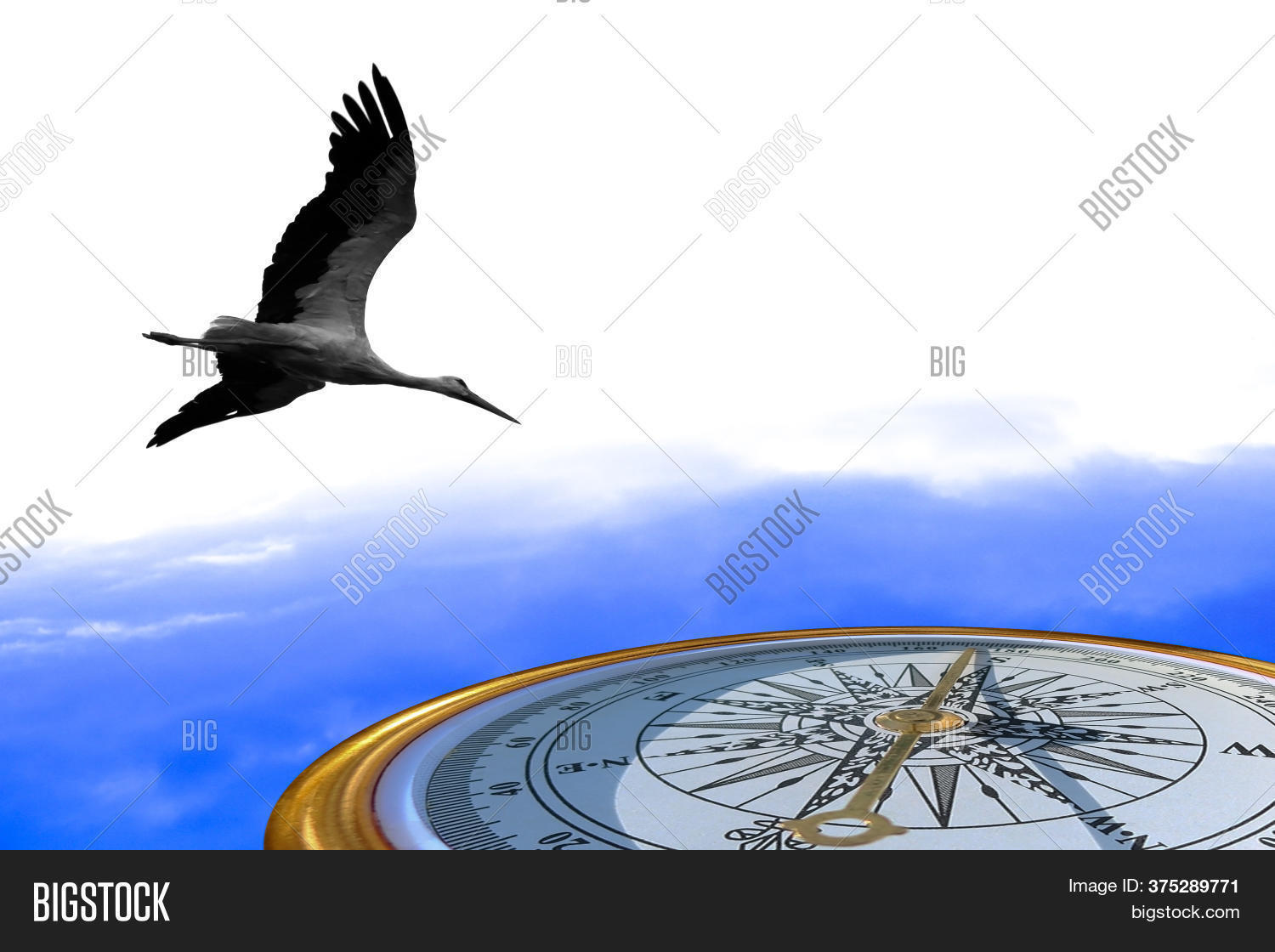 Round Compass Image & Photo (Free Trial) | Bigstock