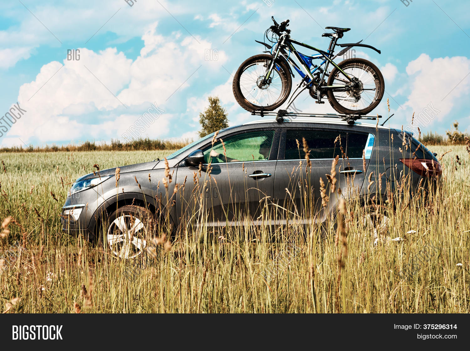 Car Transporting Image & Photo (Free Trial) | Bigstock