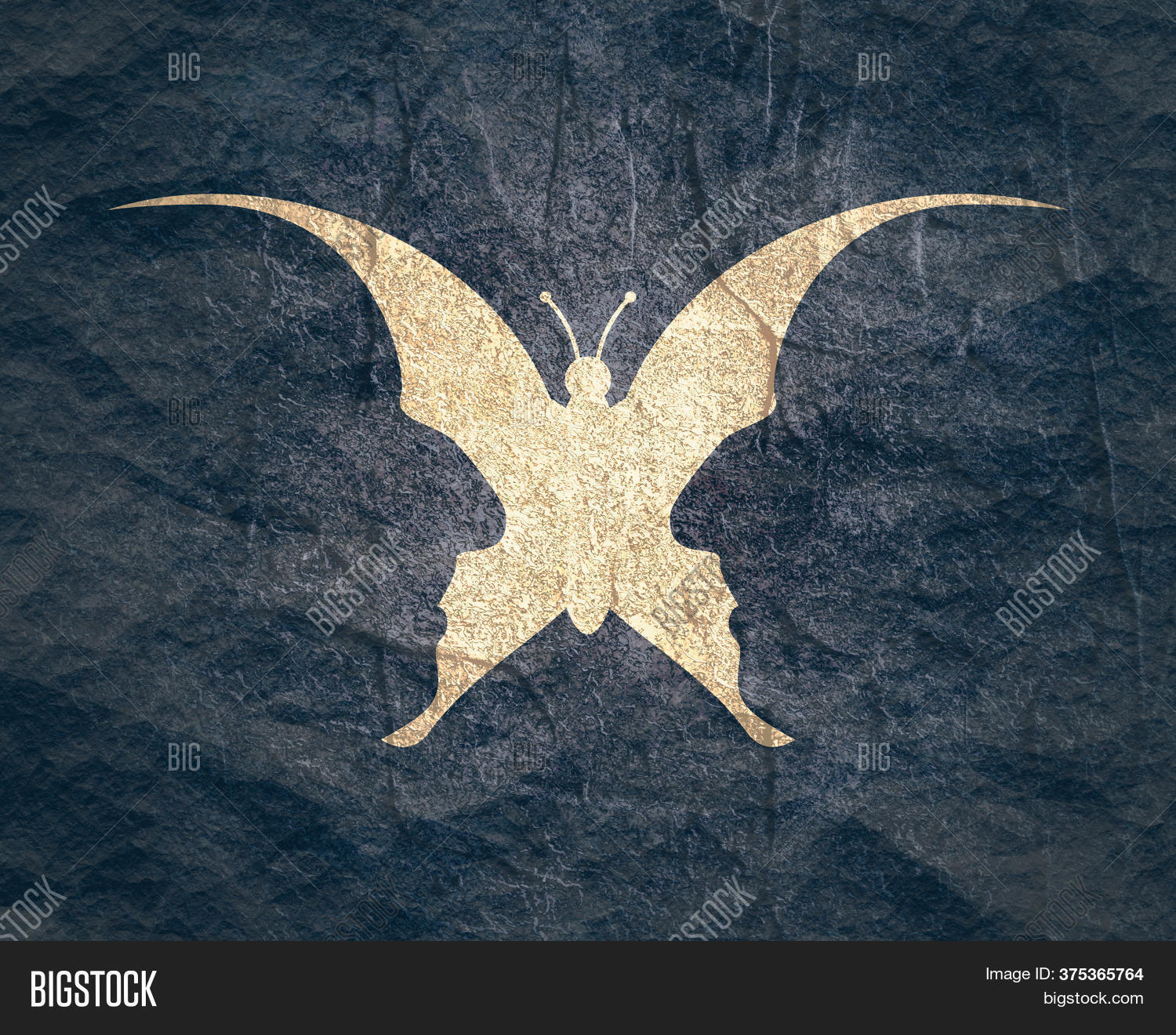 Butterfly Two Face Image & Photo (Free Trial) | Bigstock