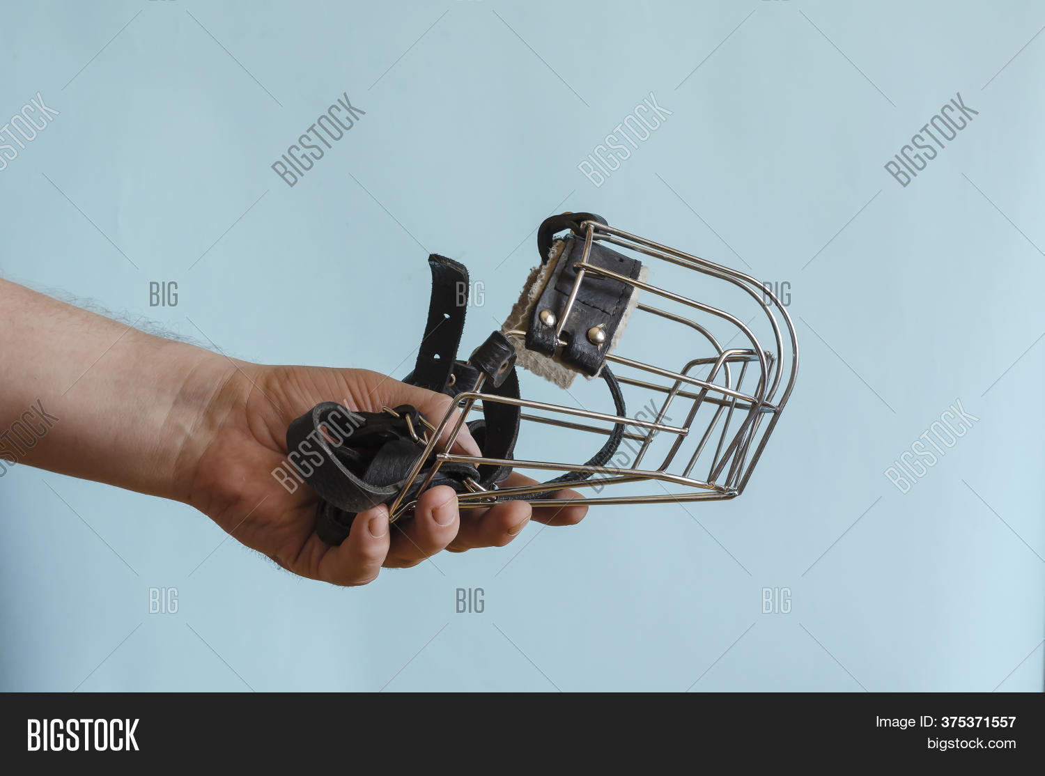 Metal Muzzle Leather Image & Photo (Free Trial) | Bigstock