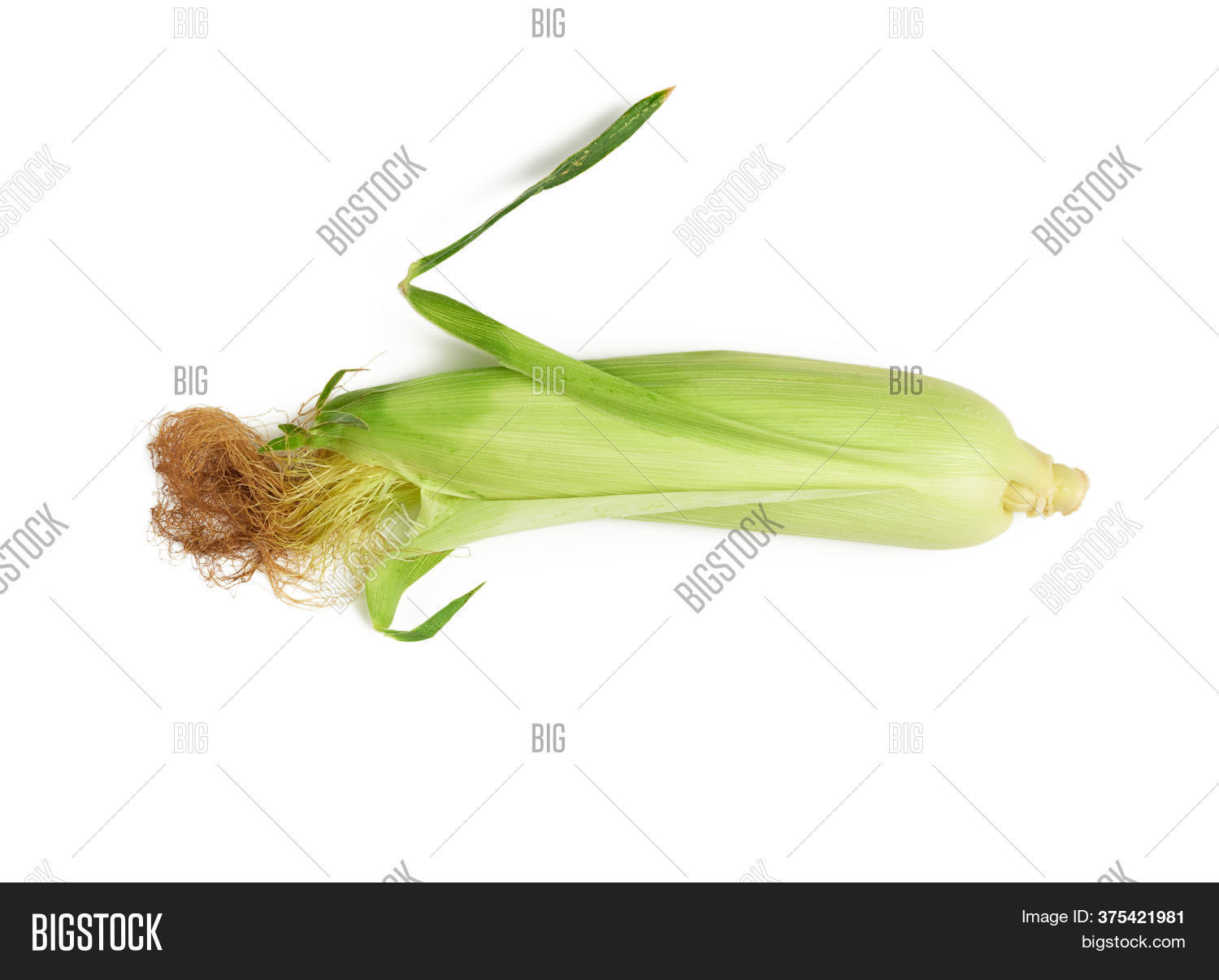 Ear Corn Green Leaves Image & Photo (Free Trial) | Bigstock