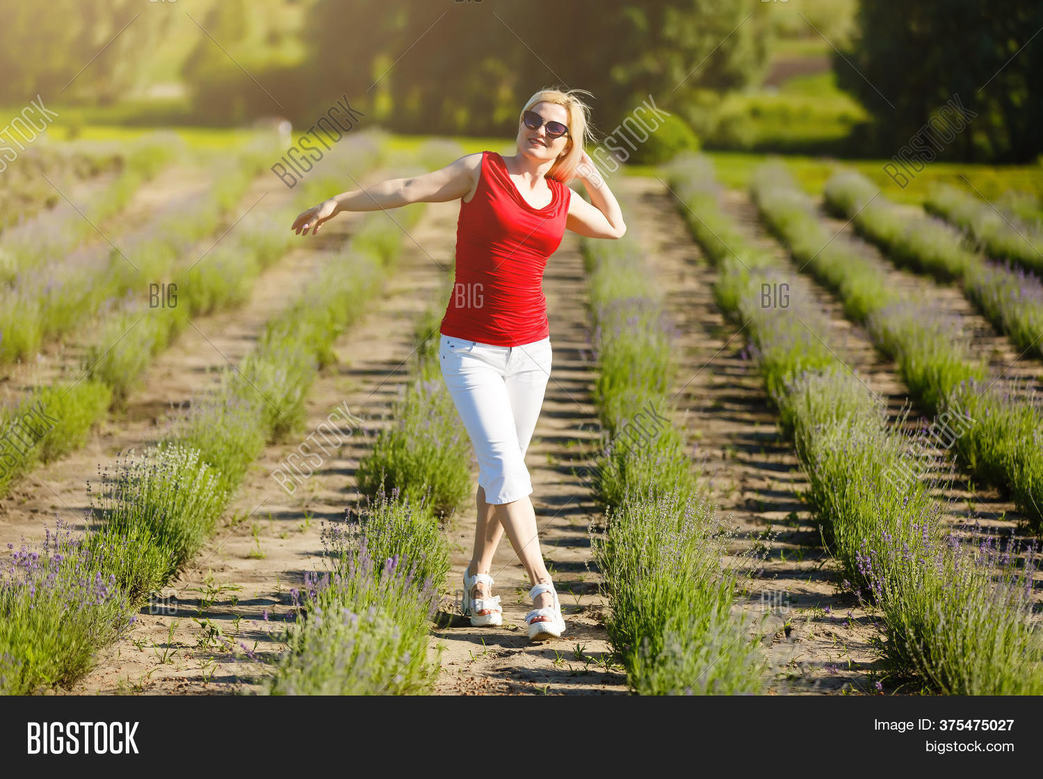 Beautiful Provence Image & Photo (Free Trial) | Bigstock