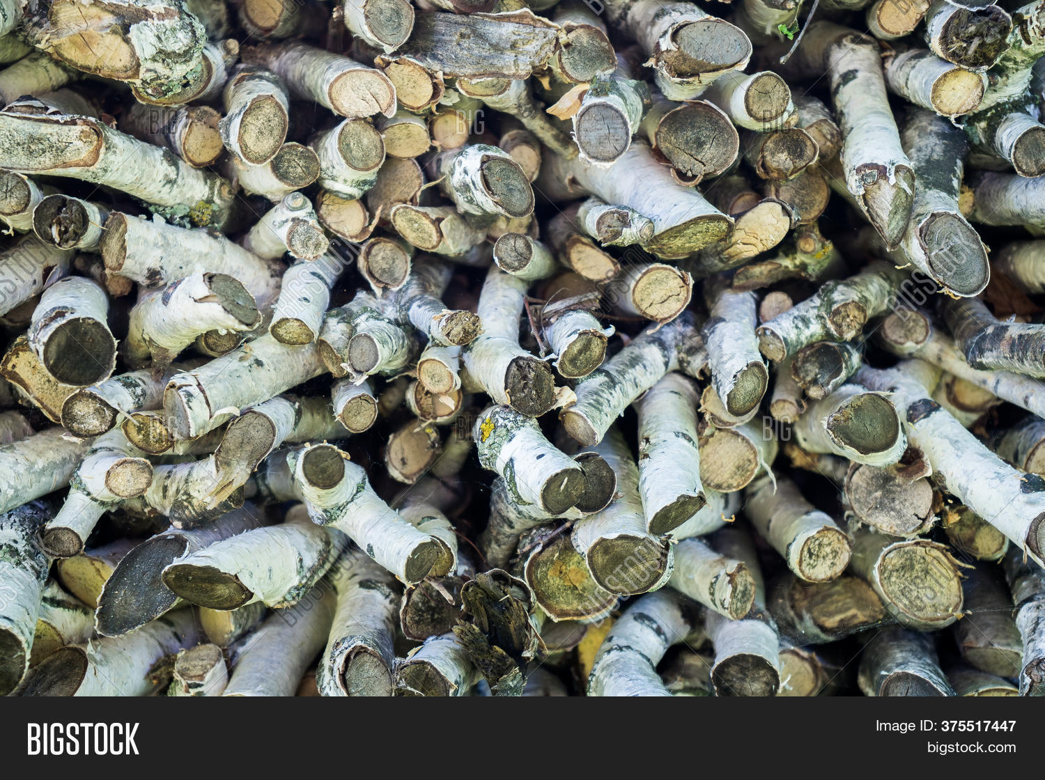 Wooden Logs Background Image & Photo (Free Trial) | Bigstock