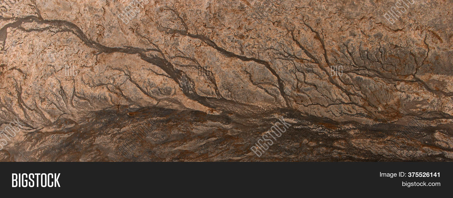 Beautiful Unusual Image & Photo (Free Trial) | Bigstock