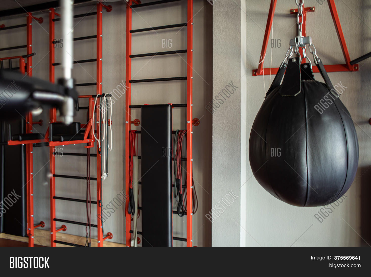 Punching Bag Interior Image & Photo (Free Trial) | Bigstock