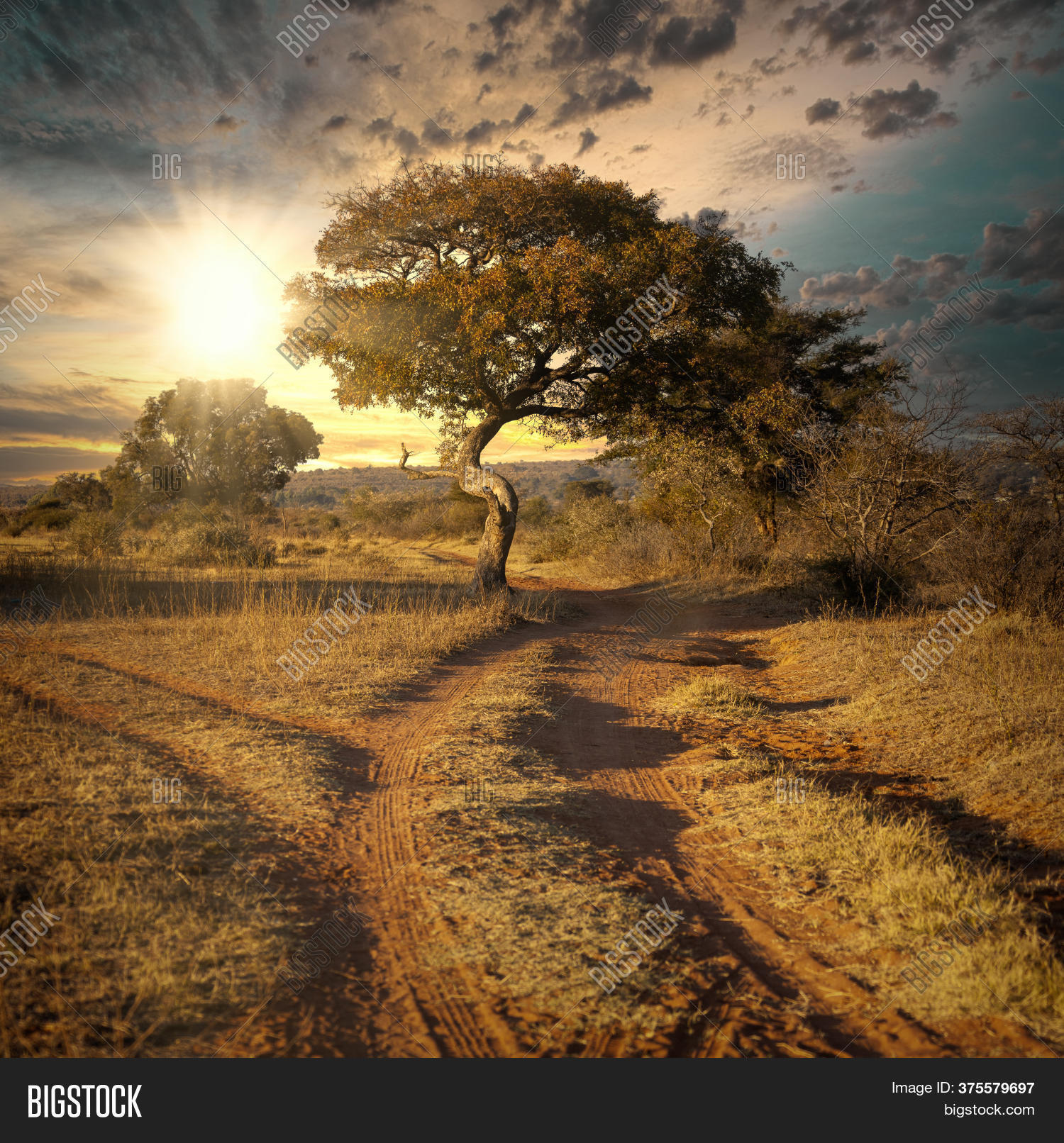 Dirt Road Tree Scenic Image & Photo (Free Trial) | Bigstock