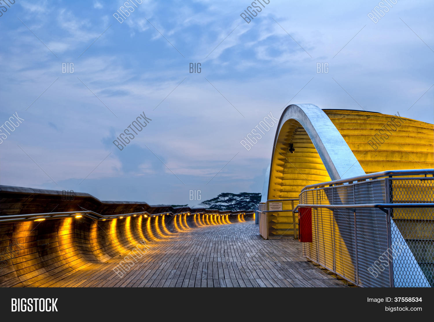 Henderson Waves Bridge Image & Photo (Free Trial) | Bigstock
