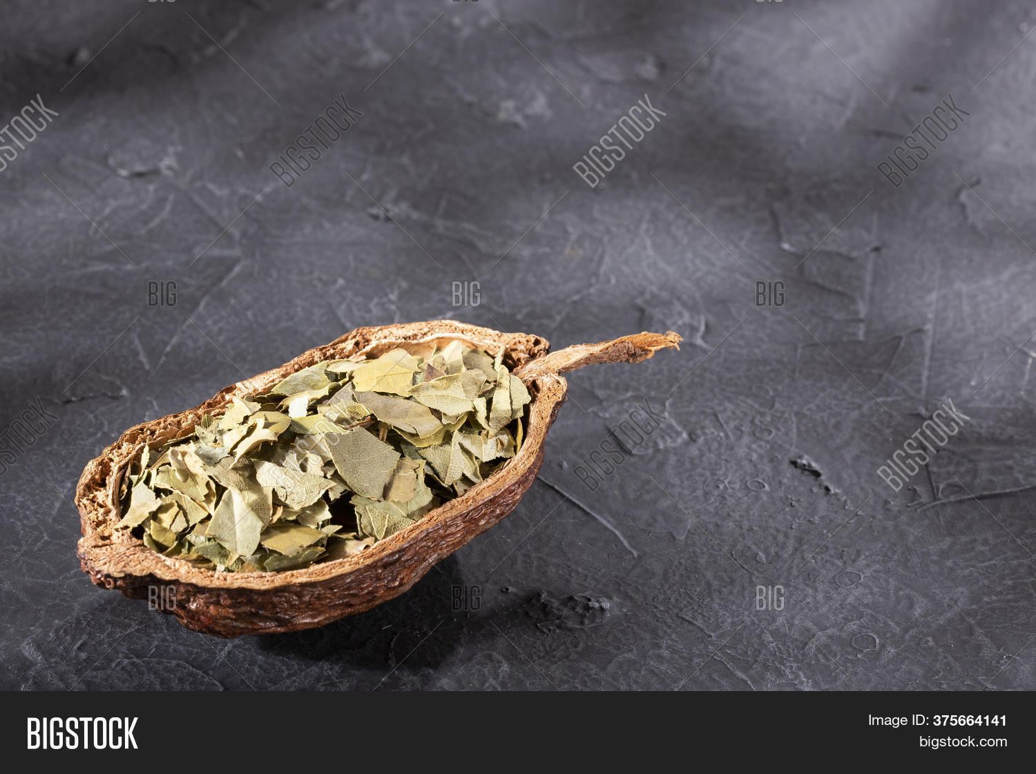 Dried Laurel Ground Image & Photo (Free Trial) | Bigstock