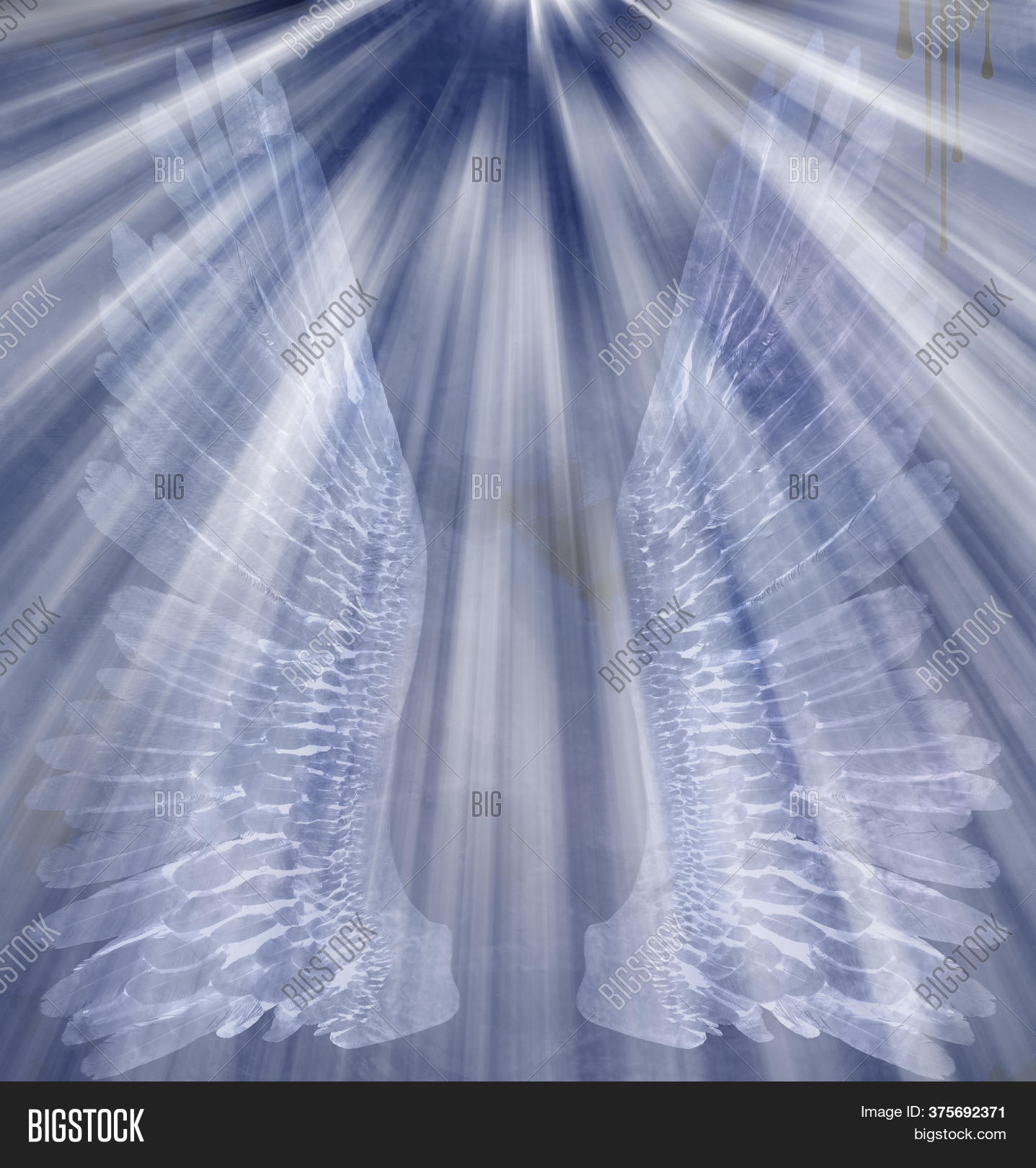 Angel Wings Shining Image & Photo (Free Trial) | Bigstock