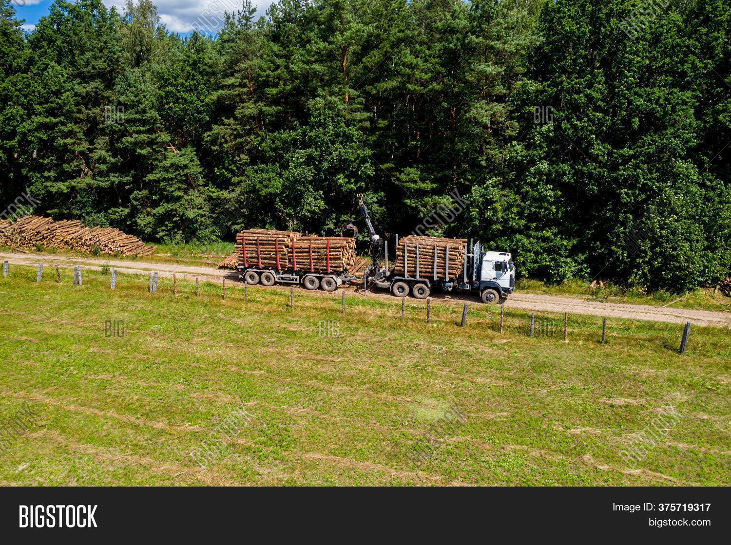 Deforestation Logging Image & Photo (Free Trial) | Bigstock