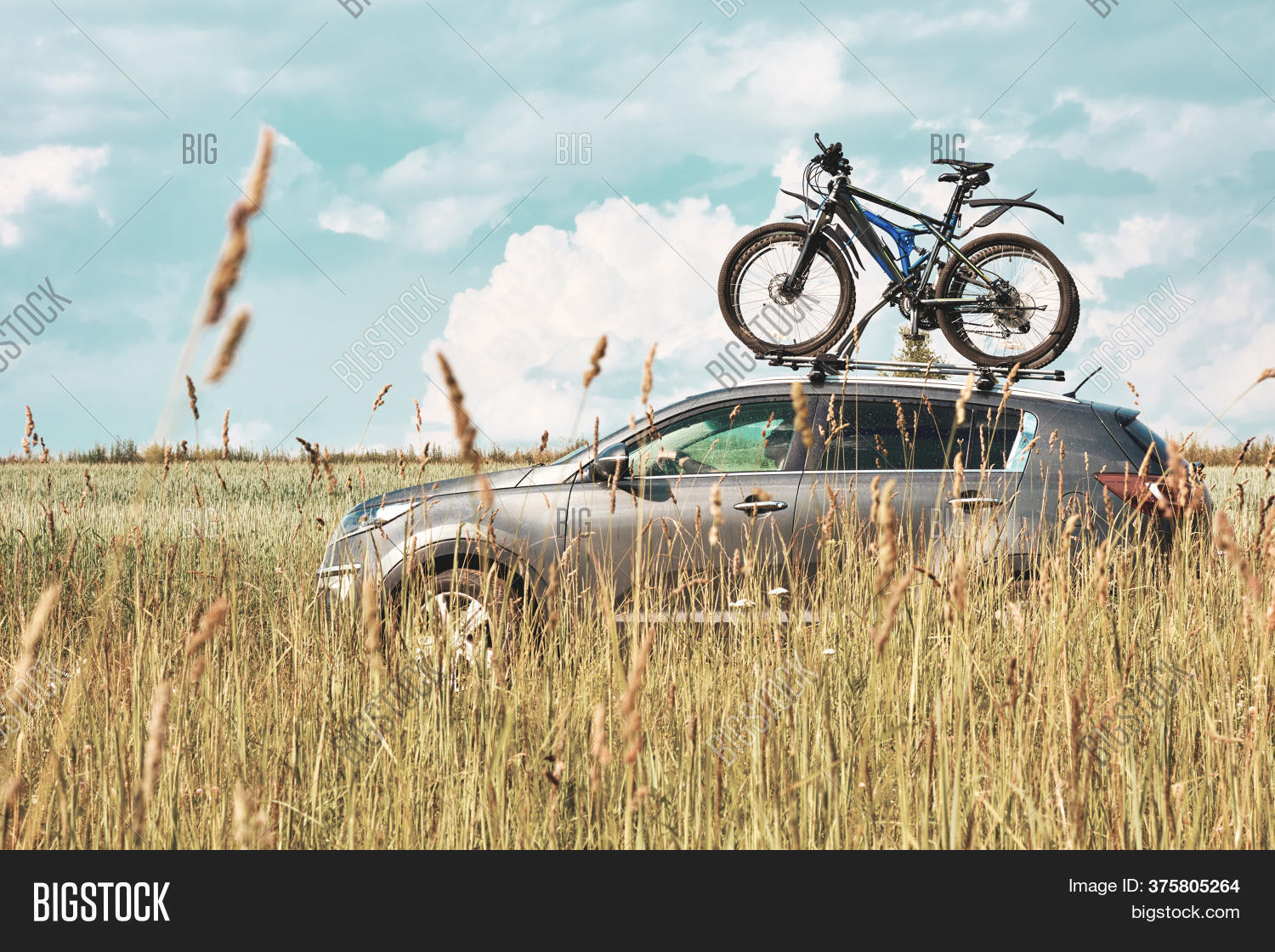 Bicycle Transportation Image & Photo (Free Trial) | Bigstock