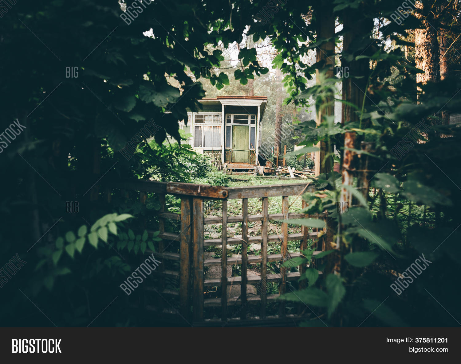 View Cozy Cryptic Image & Photo (Free Trial) | Bigstock