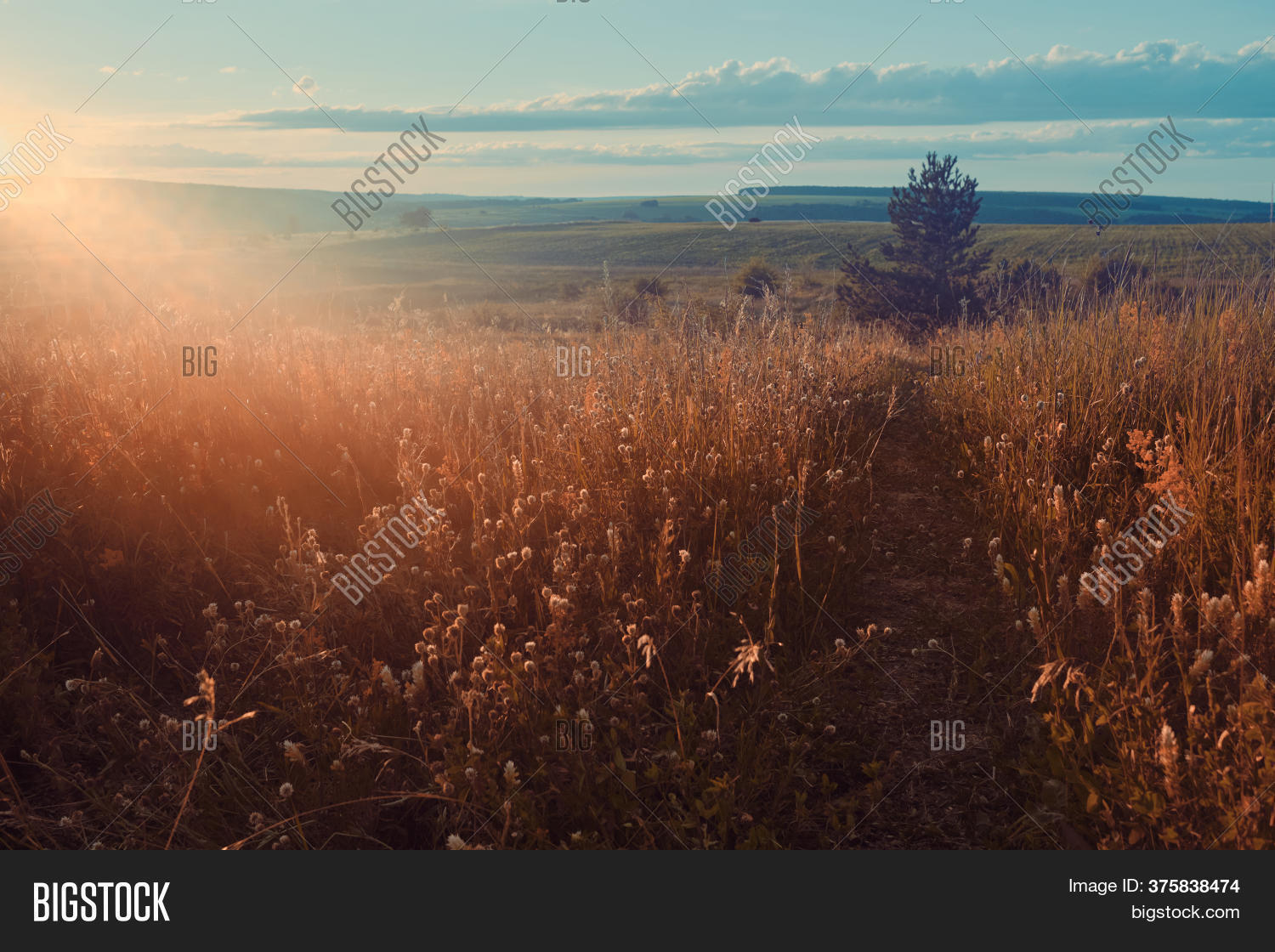 Panoramic Landscape Image & Photo (Free Trial) | Bigstock