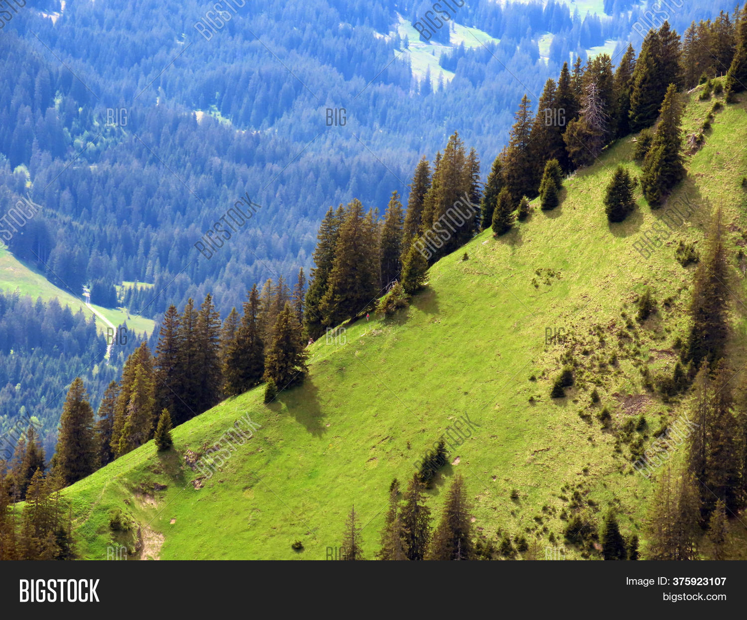 Alpine Pastures Image & Photo (Free Trial) | Bigstock