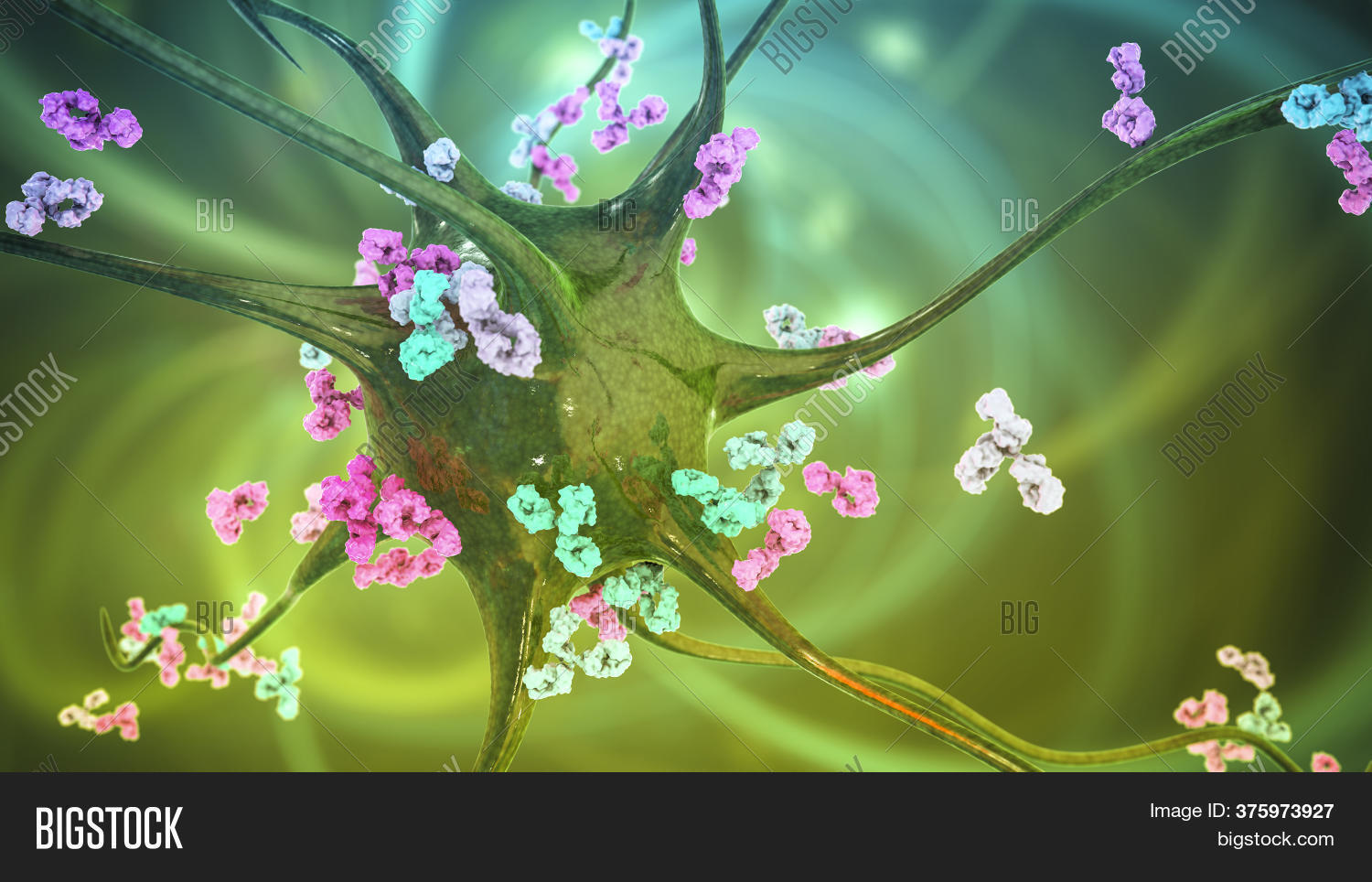 Antibodies Attacking Image & Photo (Free Trial) | Bigstock