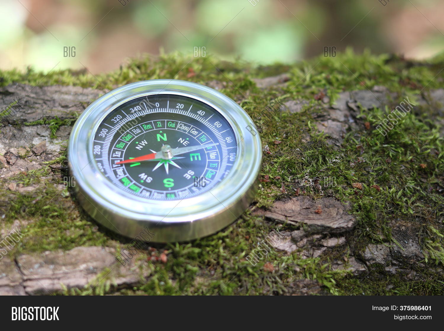 Round Compass On Image & Photo (Free Trial) | Bigstock