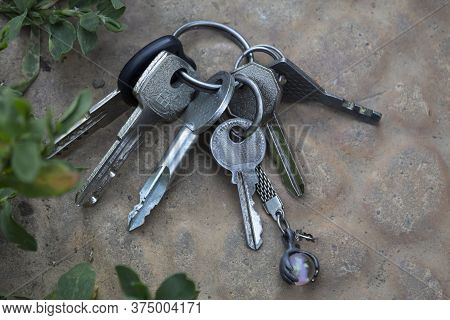 Bunch Lost Keys Image & Photo (Free Trial) | Bigstock