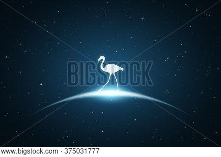 Lonely Flamingo Space Vector & Photo (Free Trial) | Bigstock