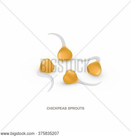 Realistic Chickpeas Vector & Photo (Free Trial) | Bigstock
