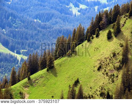 Alpine Pastures Image & Photo (Free Trial) | Bigstock