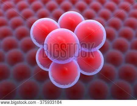 3d Illustration Cocci Image & Photo (Free Trial) | Bigstock