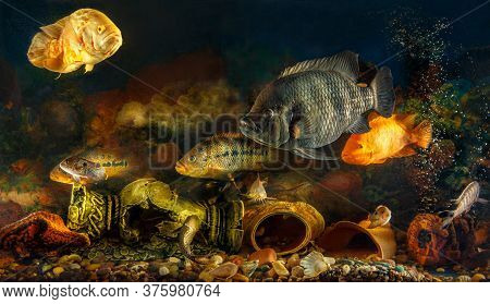 Dreamlike Underwater Image & Photo (Free Trial) | Bigstock