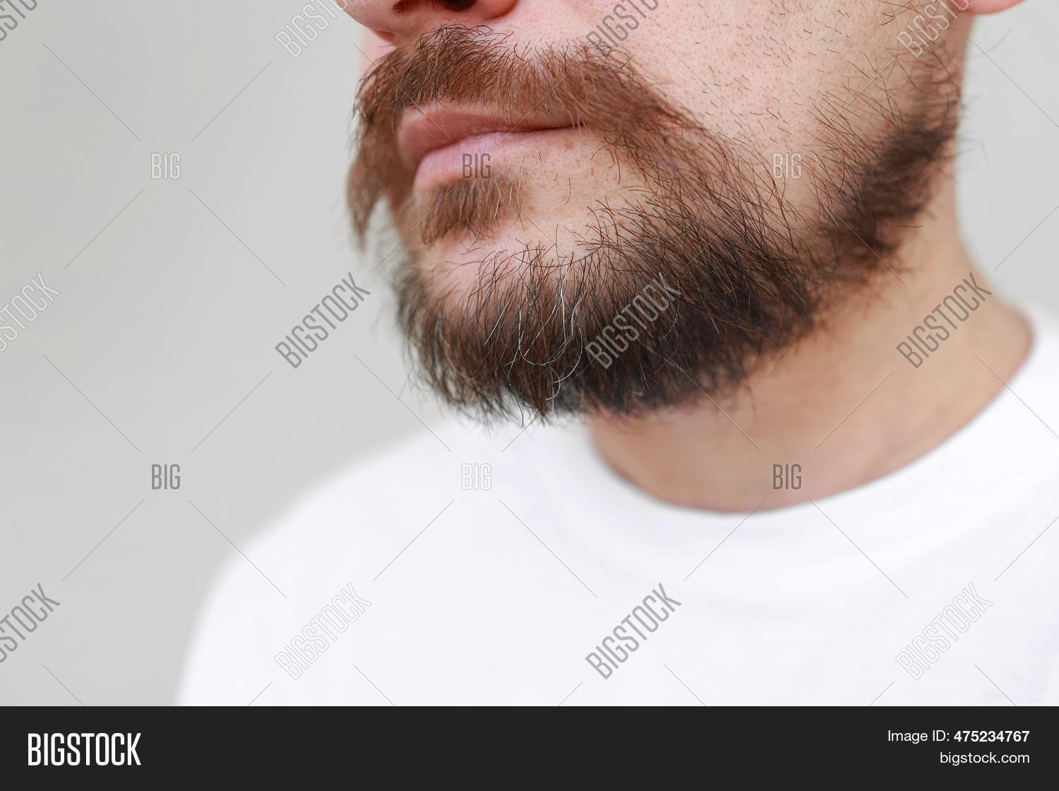 Cropped Photo Bearded Image & Photo (Free Trial) | Bigstock