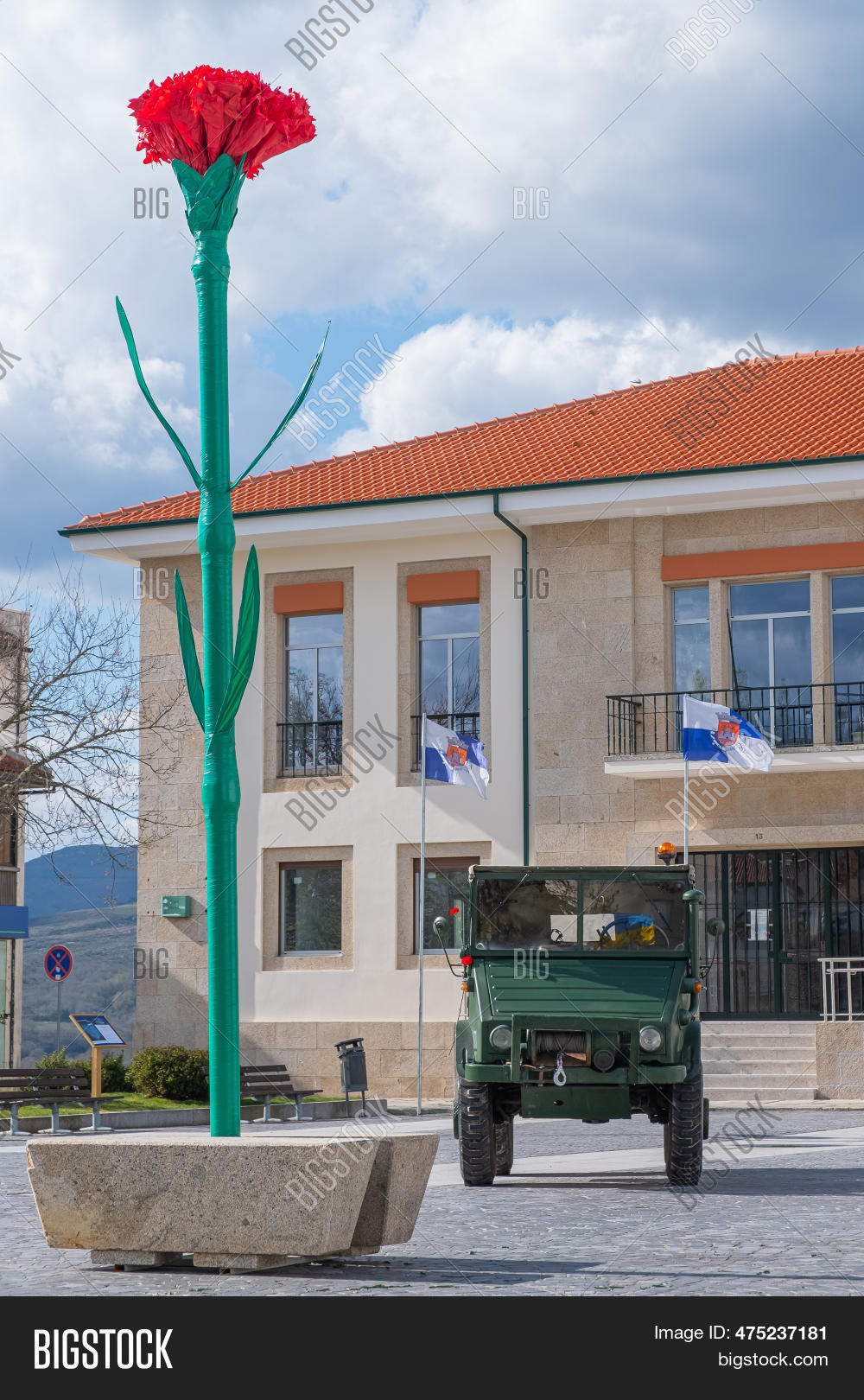 Giant Carnation Image & Photo (Free Trial) | Bigstock